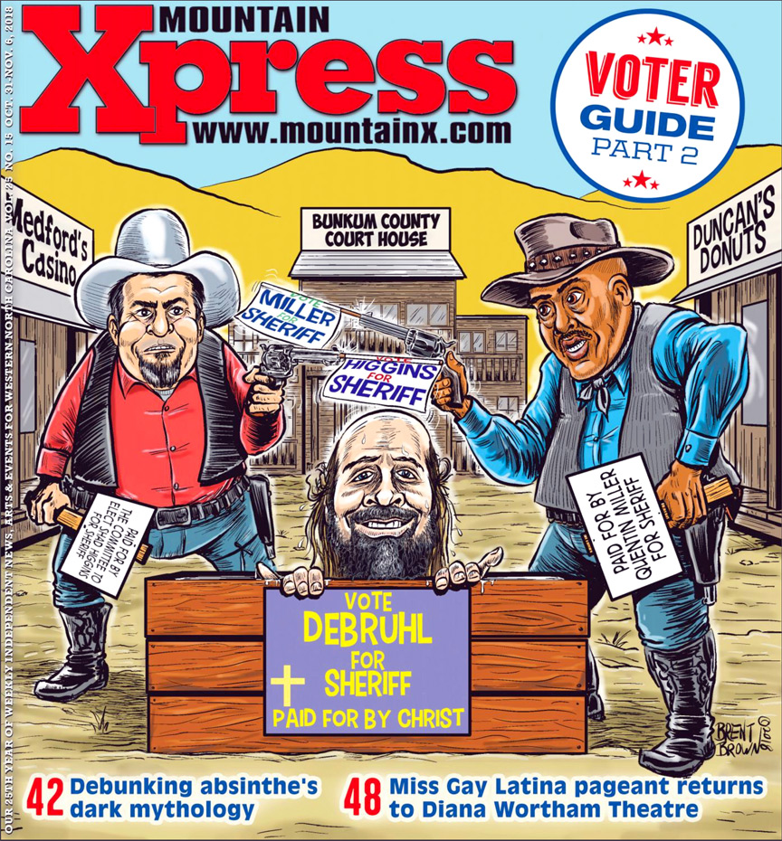 MX Comic Strips – Brent Brown.com